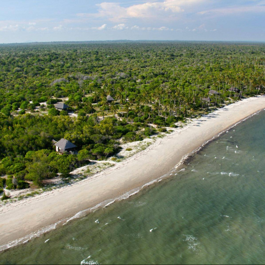 Saadani Nationalpark | Das einzige Schutzgebiet direkt am Meer